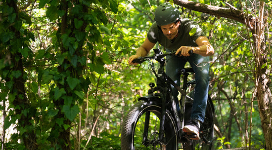 Shop the Best Electric Bikes for Commuting and Adventure | Fahrbike